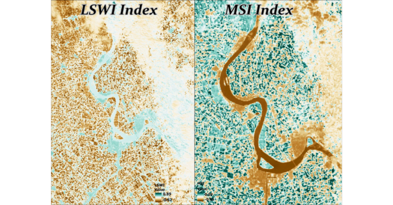 What is the difference between LSWI, MSI - Remote Sensing & GIS Club